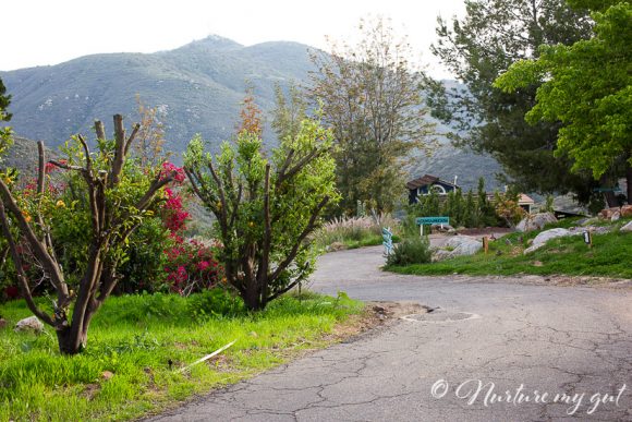 Morning Song Farm-A great family friendly vacation in Southern California