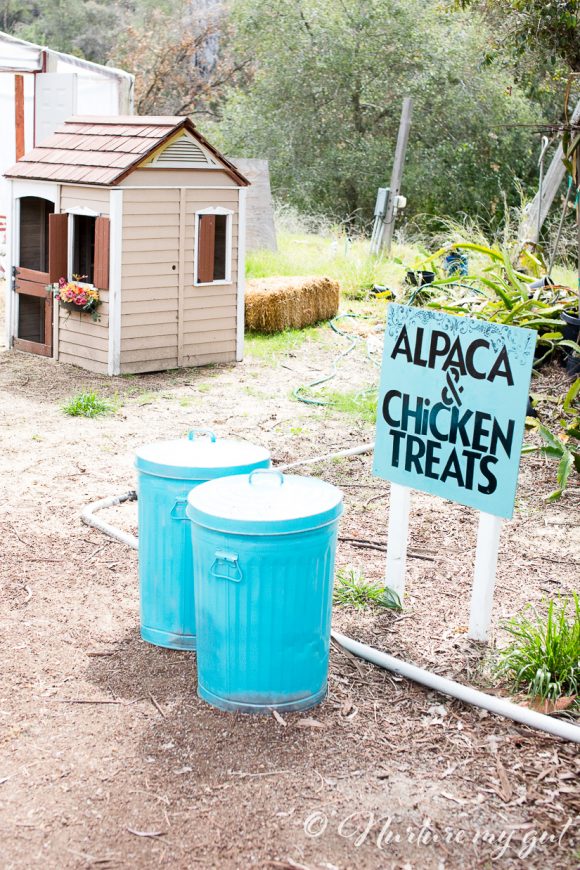 Morning Song Farm-A great family friendly vacation in Southern California
