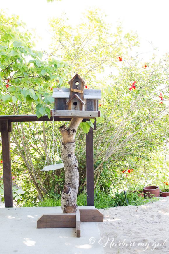 Morning Song Farm-A great family friendly vacation in Southern California